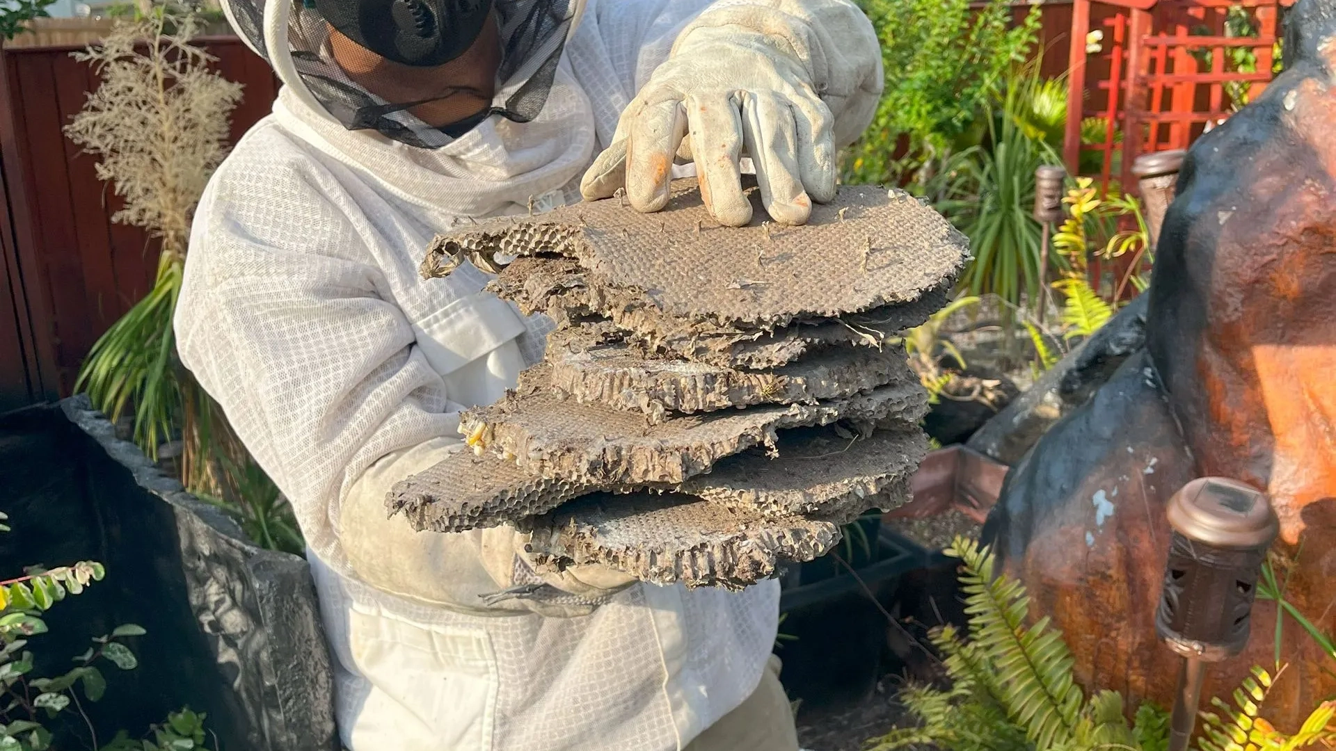 Zappers Pest Solutions | Michiana Pest & Bug Control Services